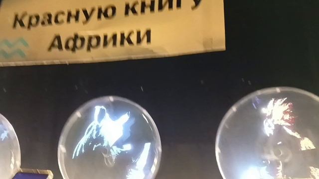 Влог - наш Август 2025