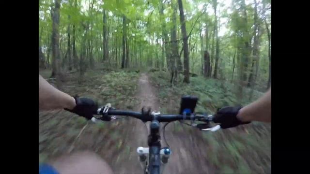 Чуковский-Маршак