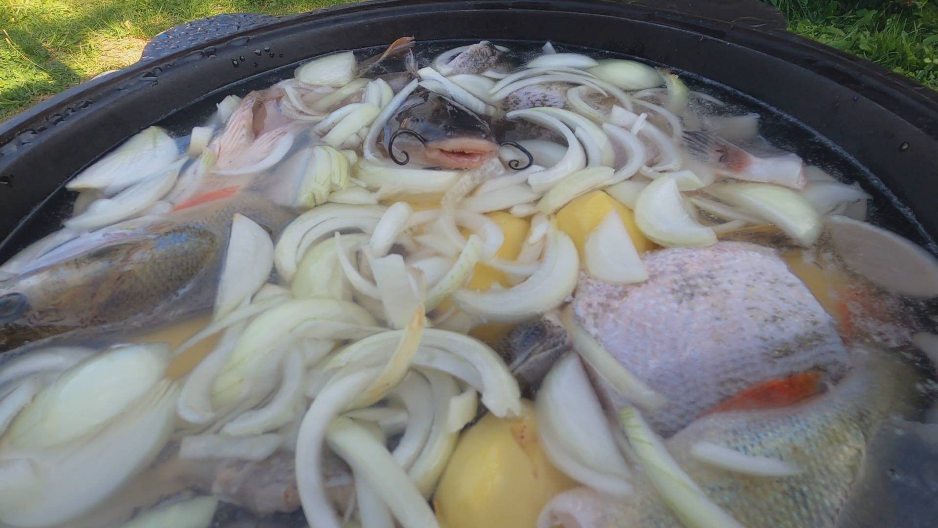 МОЛОЧНАЯ УХА // УХА ИЗ 3 ВИДОВ РЫБЫ