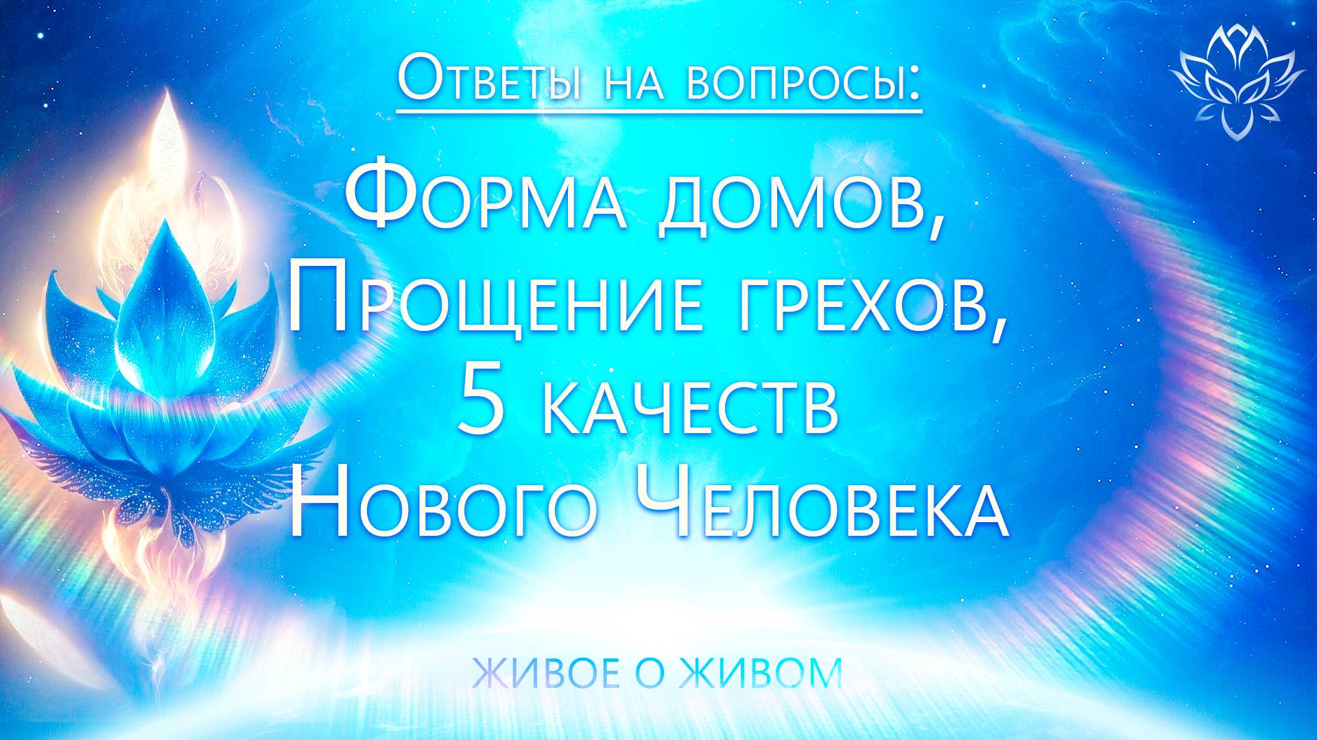 Форма домов, Переселение в животных, Прощение грехов, 5 качеств