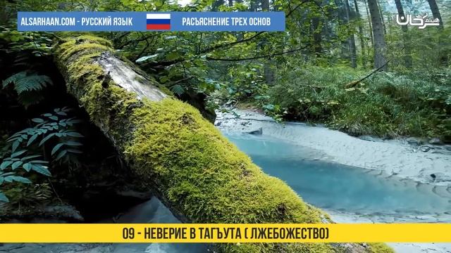 09. Неверие в Тагъута (лжебожество). Три Основы. Шейх Хейсам Сархан