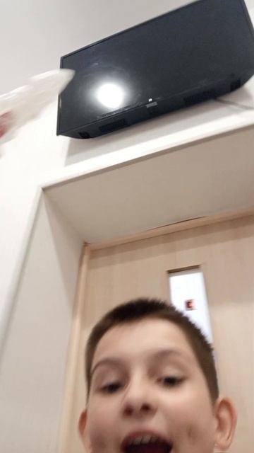 Абибас Корабас и страна гномов: пилот