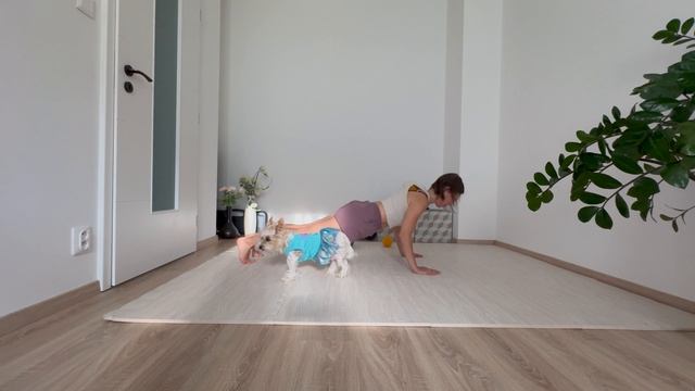 Пилатес Дома | Переход в планку с пушап