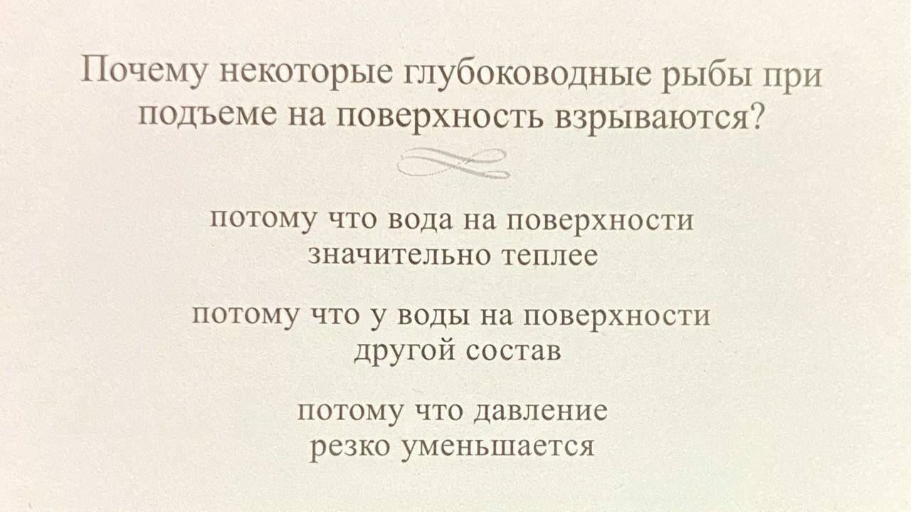 Большая дурацкая викторина "Внимание Вопрос". Встреча 1.