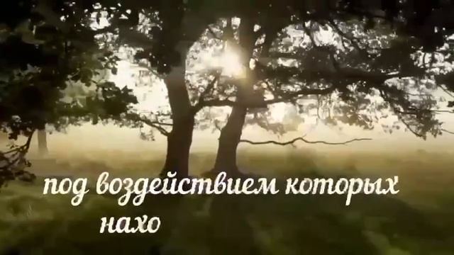 О важности группы