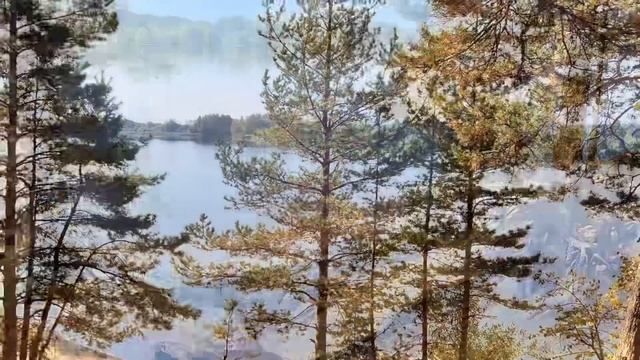 ЗверЪ проехал ТверЬ - Конаково