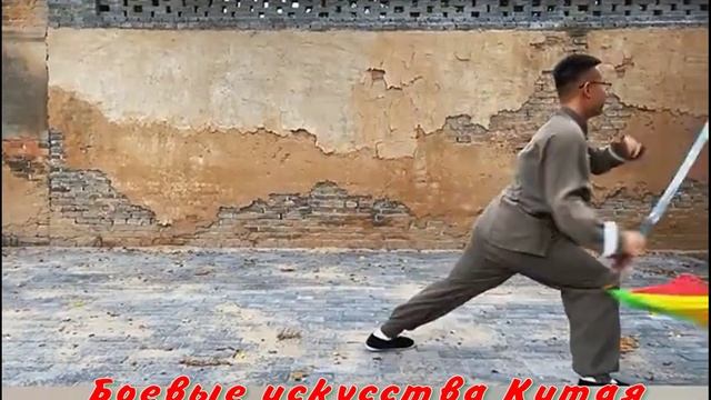 Тринадцать клинков традиционного стиля Ян: практика движения вперёд