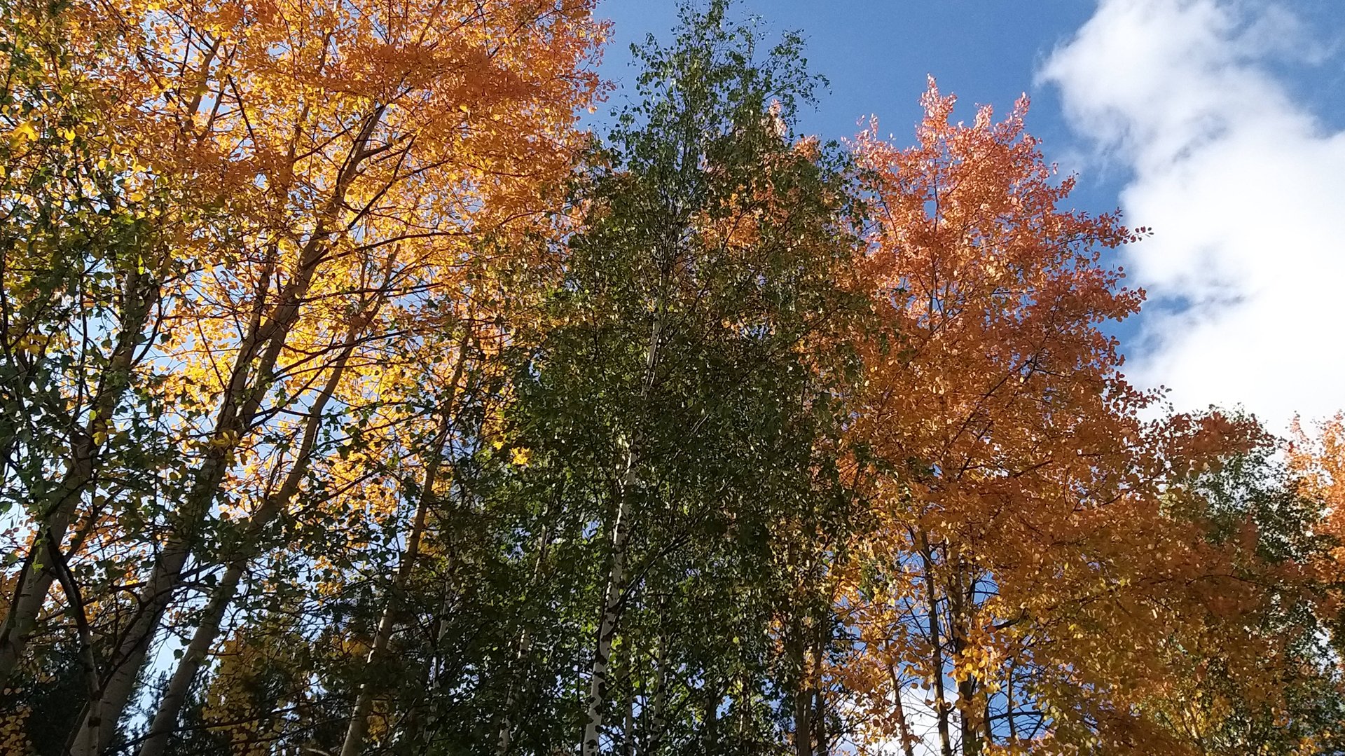 Дорога на работу