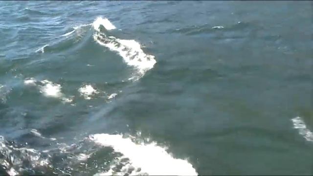 Из серии Ангарские зарисовки. На катере. 25.08.2012.