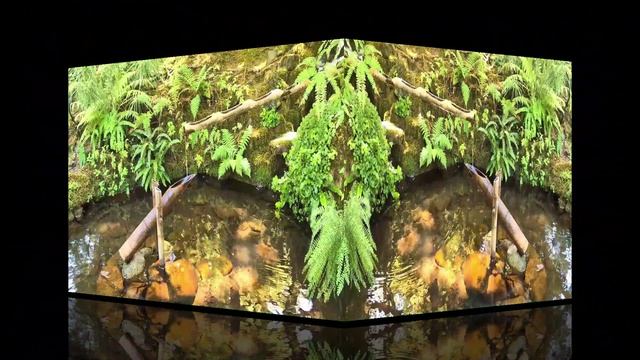 🌿 Релаксация в настоящем японском саду – умиротворяющие звуки природы и успокаивающая атмосфера