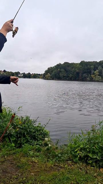 🎣 Окунь на отводной поводок  Рыбалка в озере LIVE