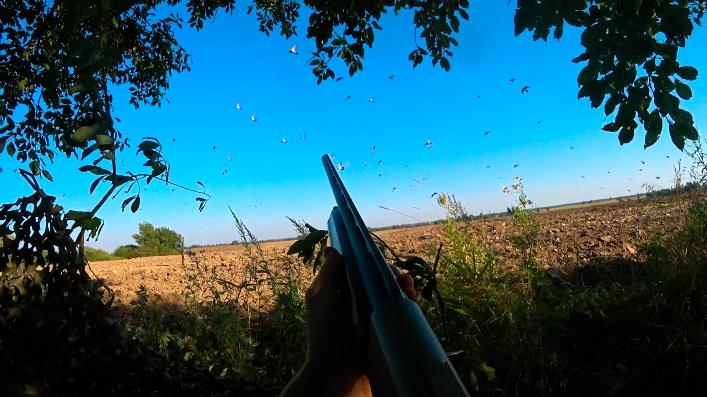 ДВУХДНЕВНАЯ ОХОТА НА ВЯХИРЯ. ОХОТА С ПАПОЙ.