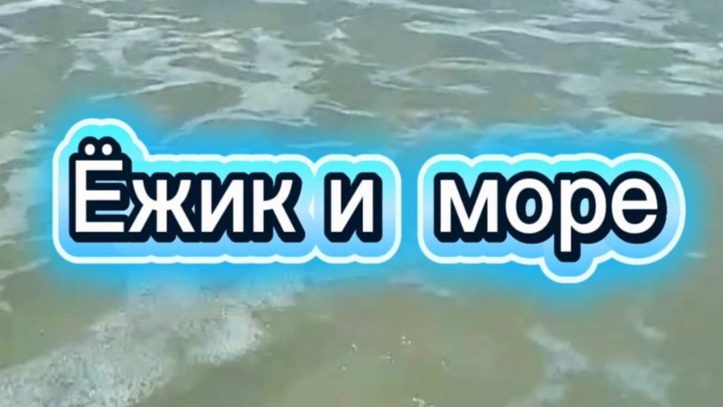 "Ёжик и море" сказка Сергея Козлова.