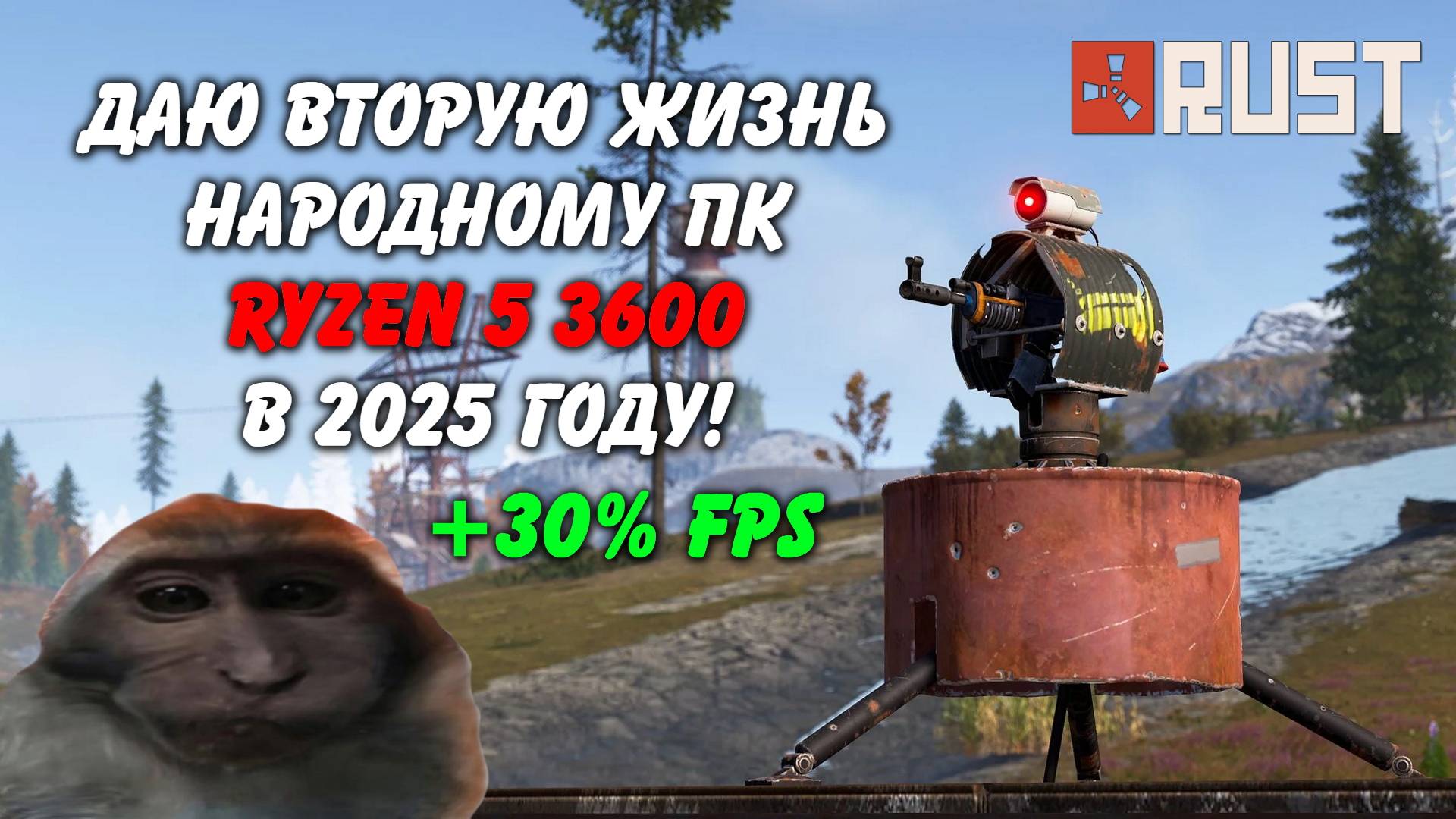 Угарный подписчик играет на Ryzen 5 3600 Rust Раст в 2025 году (Запись диагностики пк Rogue)