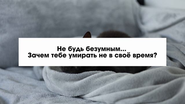 Почему люди не ищут Бога