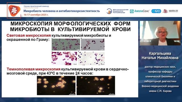 Микробиота крови человека