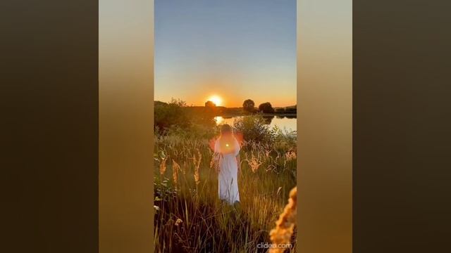 ПЕСНЯ ГРУСТНЫЙ НАПЕВ. ПЕСНЯ  ИЗ Х. Ф . РУССКОЕ ПОЛЕ . ВИДЕОМОНТАЖ ЕЛЕНА МЕЛЬНИКОВА .