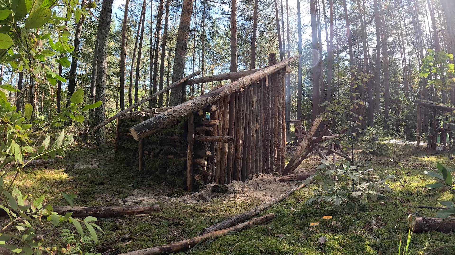 Бушкрафт |Лисички гребем лопатой | Мшиное укрытие | Серджио Неистовый