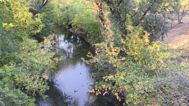 Луганск, Парк Горького, природа оживает ! *4K SDR*