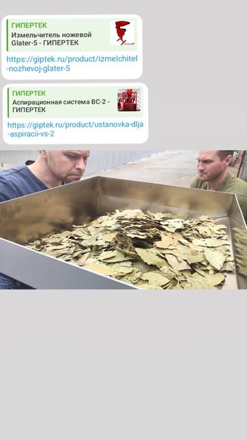 Глатер-5 и ВС-2 частично нержавеющие_лавровый лист