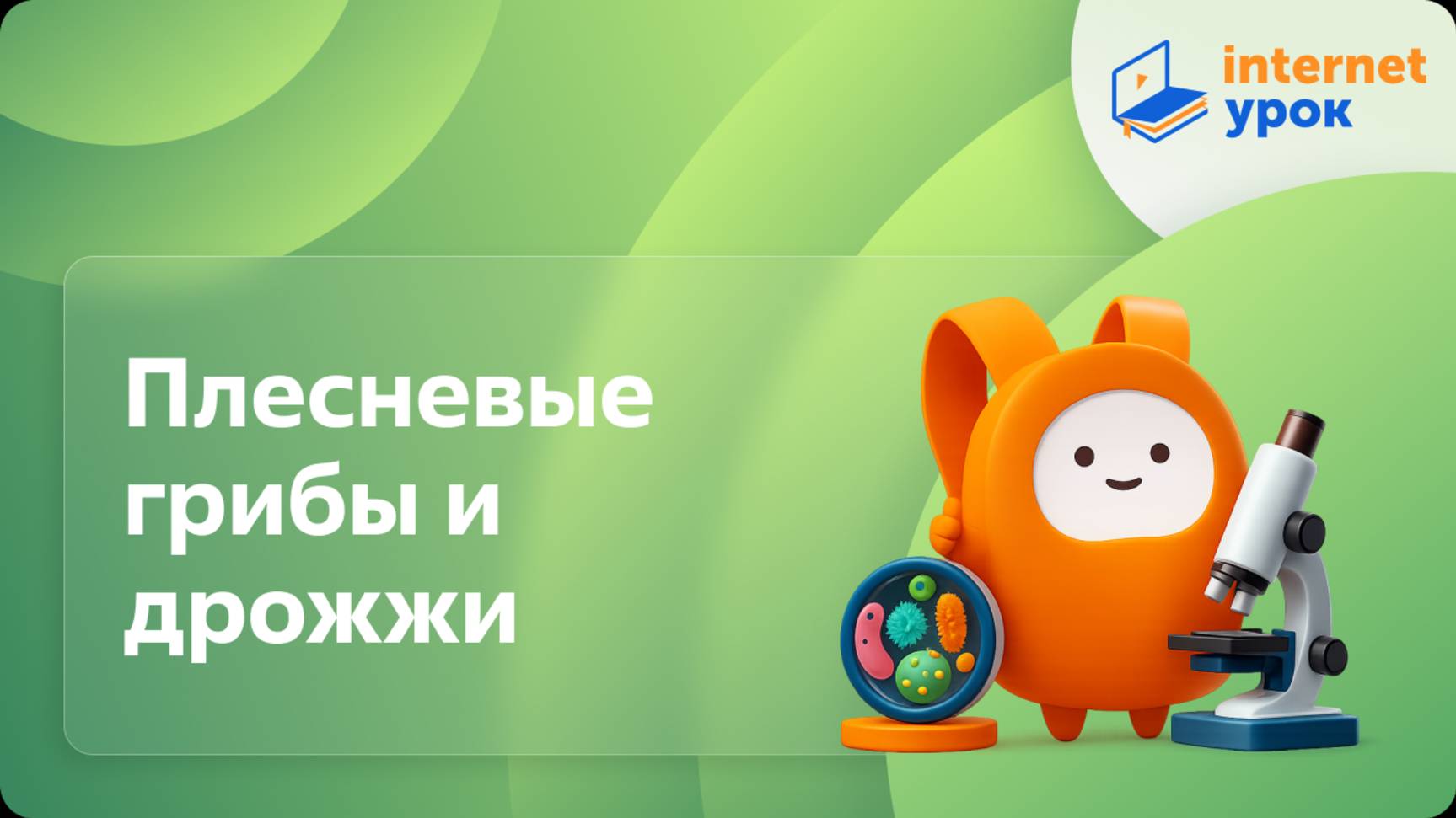 Биология 5 класс. Плесневые грибы и дрожжи