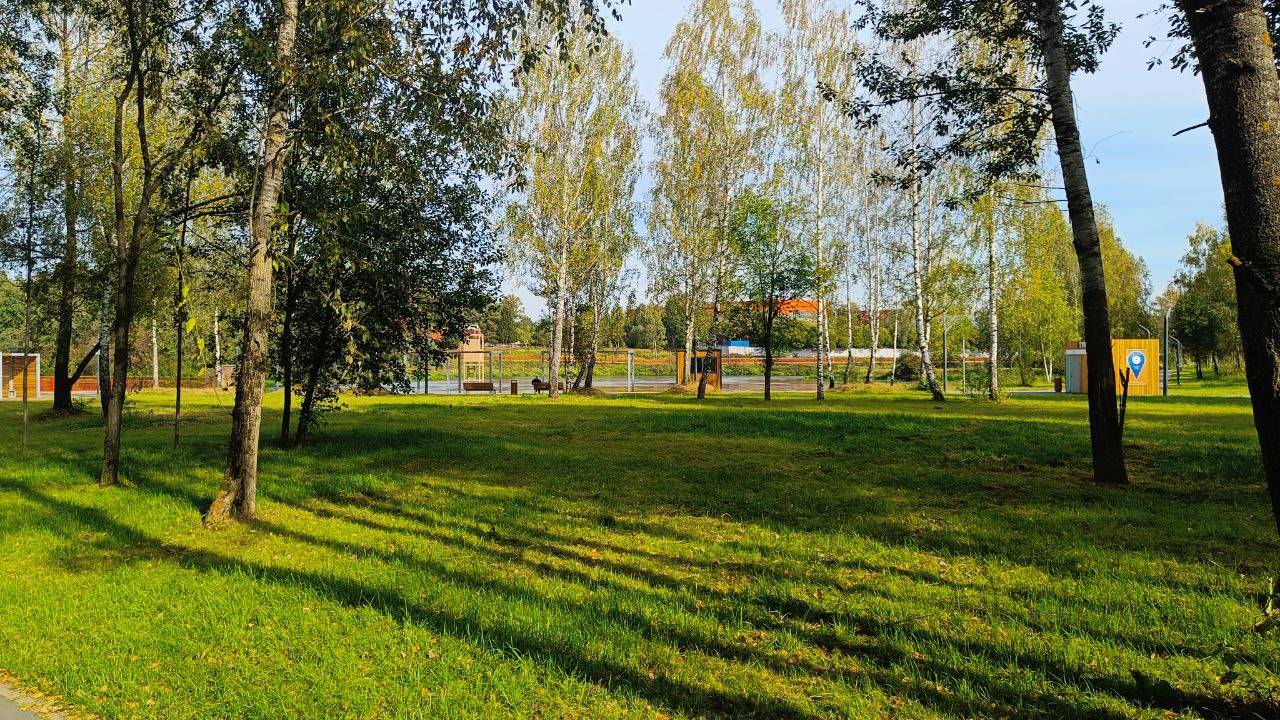 Теплый день в сентябре 2025