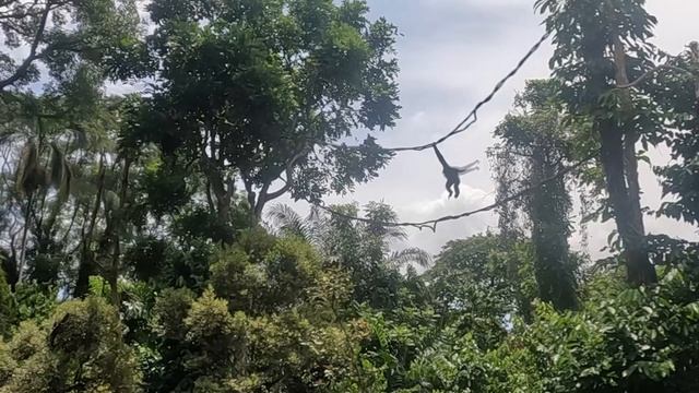 Сингапур Бали 2025 ТРЕЙЛЕР