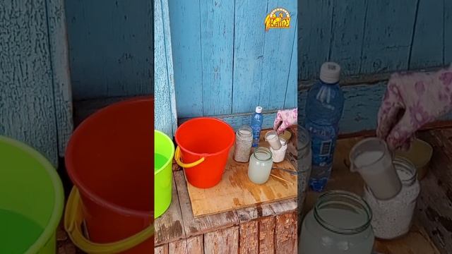 85. Универсальная подкормка в августе