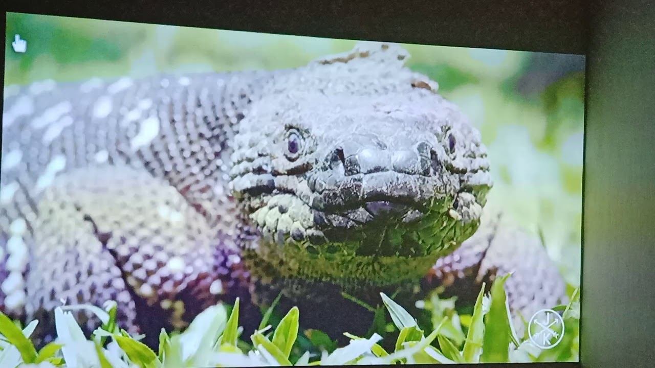 Тестирование проектора Biyntek UFO R19 с видео 4К