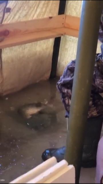 Зимняя рыбалка в Лаврово Песочне зимой 2022 года - 4 ролик