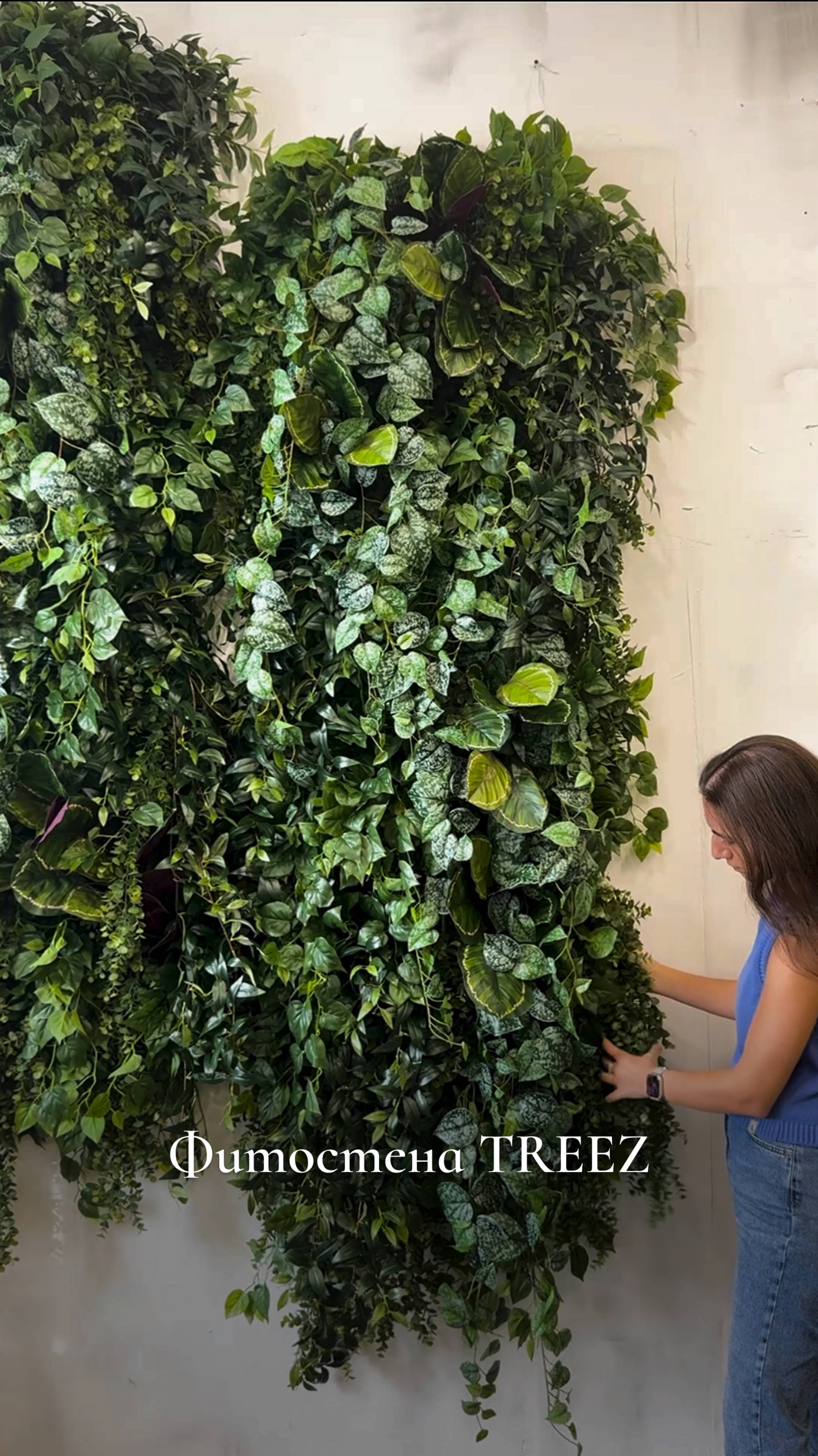 Фитостены, которые выглядят как живые.