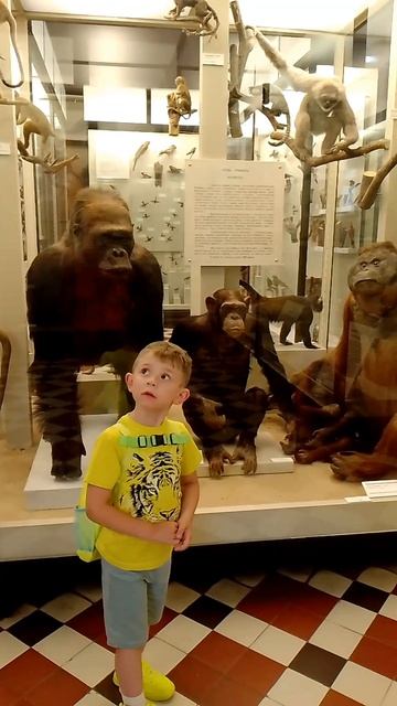 Зоологический музей 04.06.2024