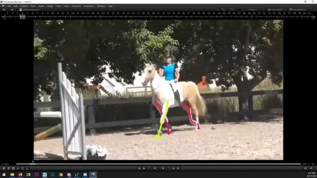 6. Horse Run - Jump Blocking