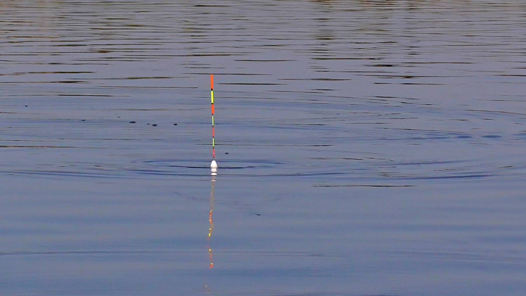 ОСЕННИЙ ЖОР РЫБЫ И РАКА НАЧАЛСЯ! УДАЧНАЯ ОСЕННЯЯ РЫБАЛКА! Рыбалка на поплавок на карася с берега