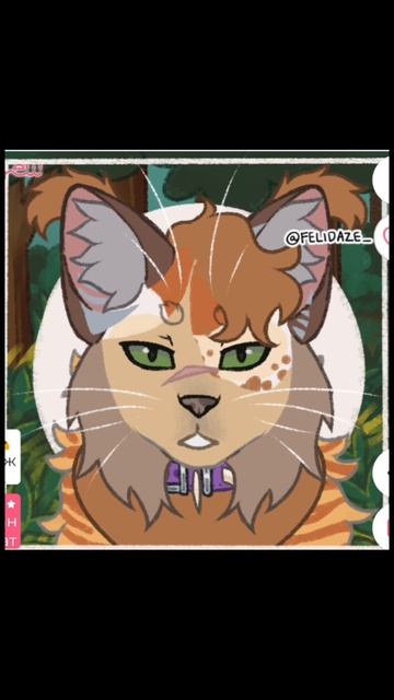 Рубрика моя ос/ИСТОРИЯ МОЕЙ ОС ЛИПОВОЙ ЗВЕЗДЫ!!??