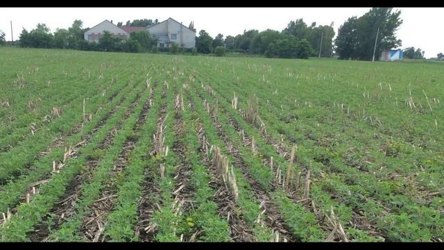 Какой должна быть сеялка для прямого посева NO-TILL