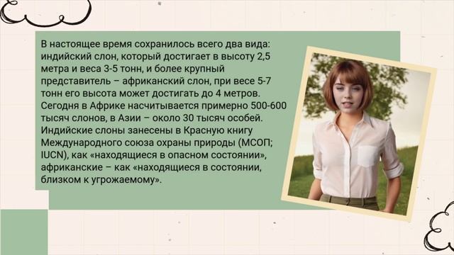 22 сентября Всемирный день защиты слонов. Выпуск №31