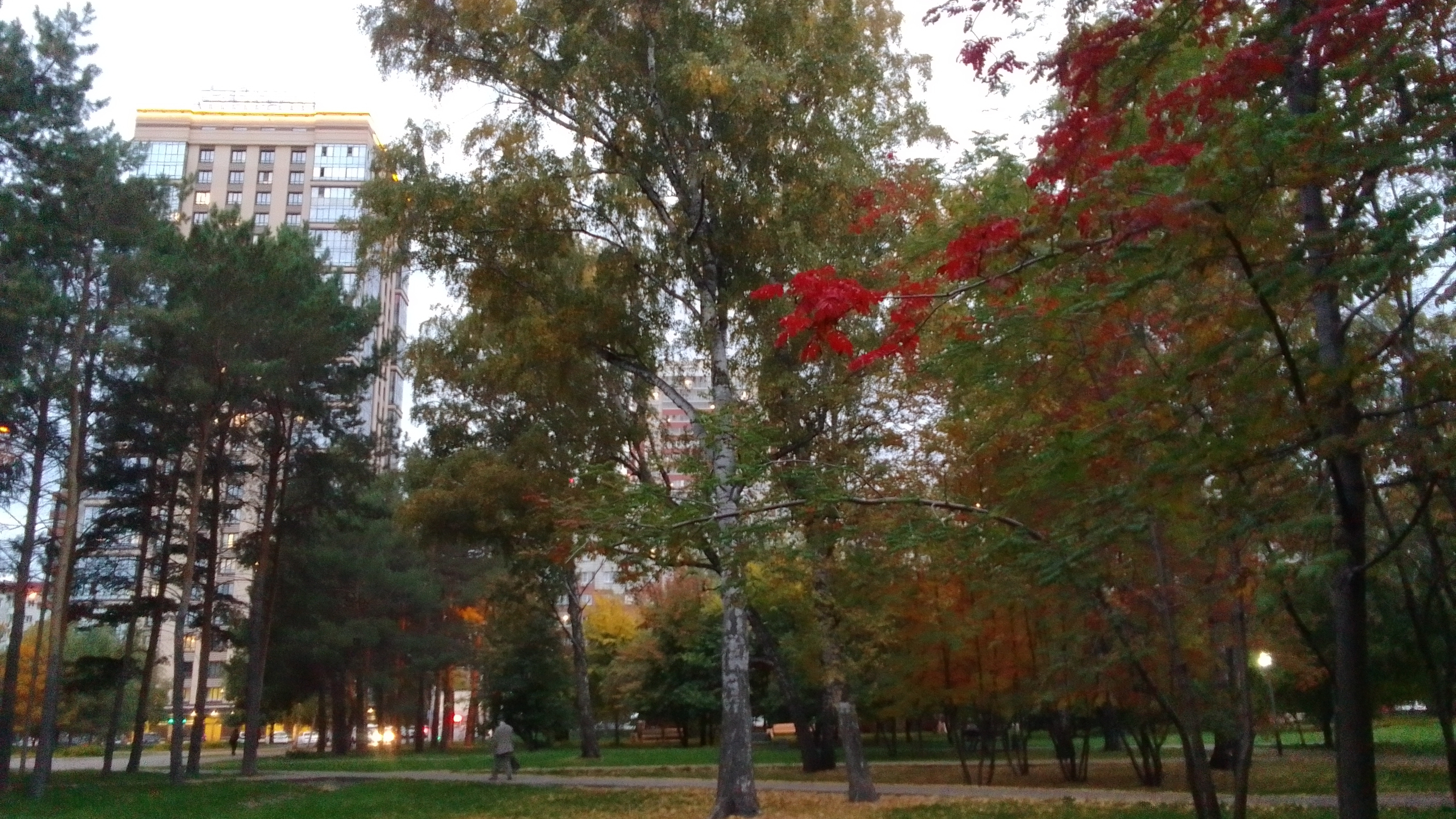 В Нарымском сквере/ Новосибирск/23.09.2025🍁🍁🍁🍁🍁