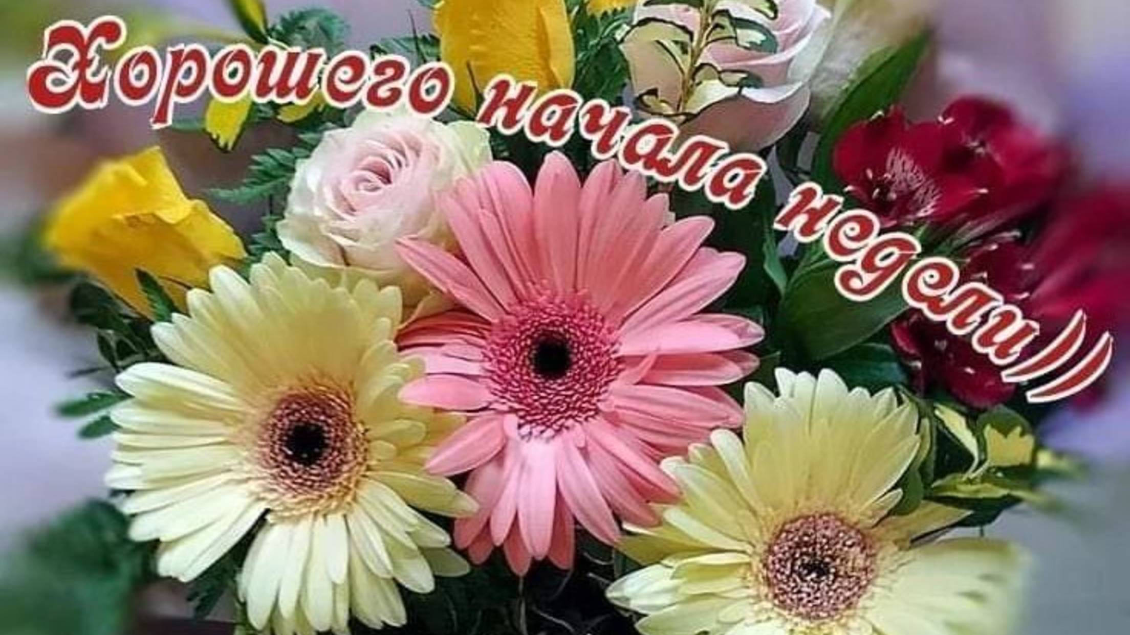 ДОБРОЕ УТРО ПОНЕДЕЛЬНИКА. ЗАМЕЧАТЕЛЬНОГО ПОНЕДЕЛЬНИКА!