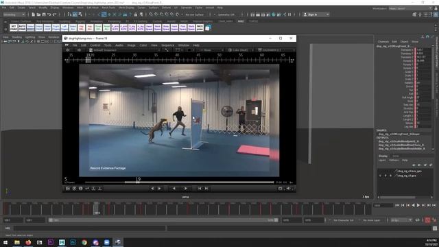 5. Canine Jump Blocking - Polish