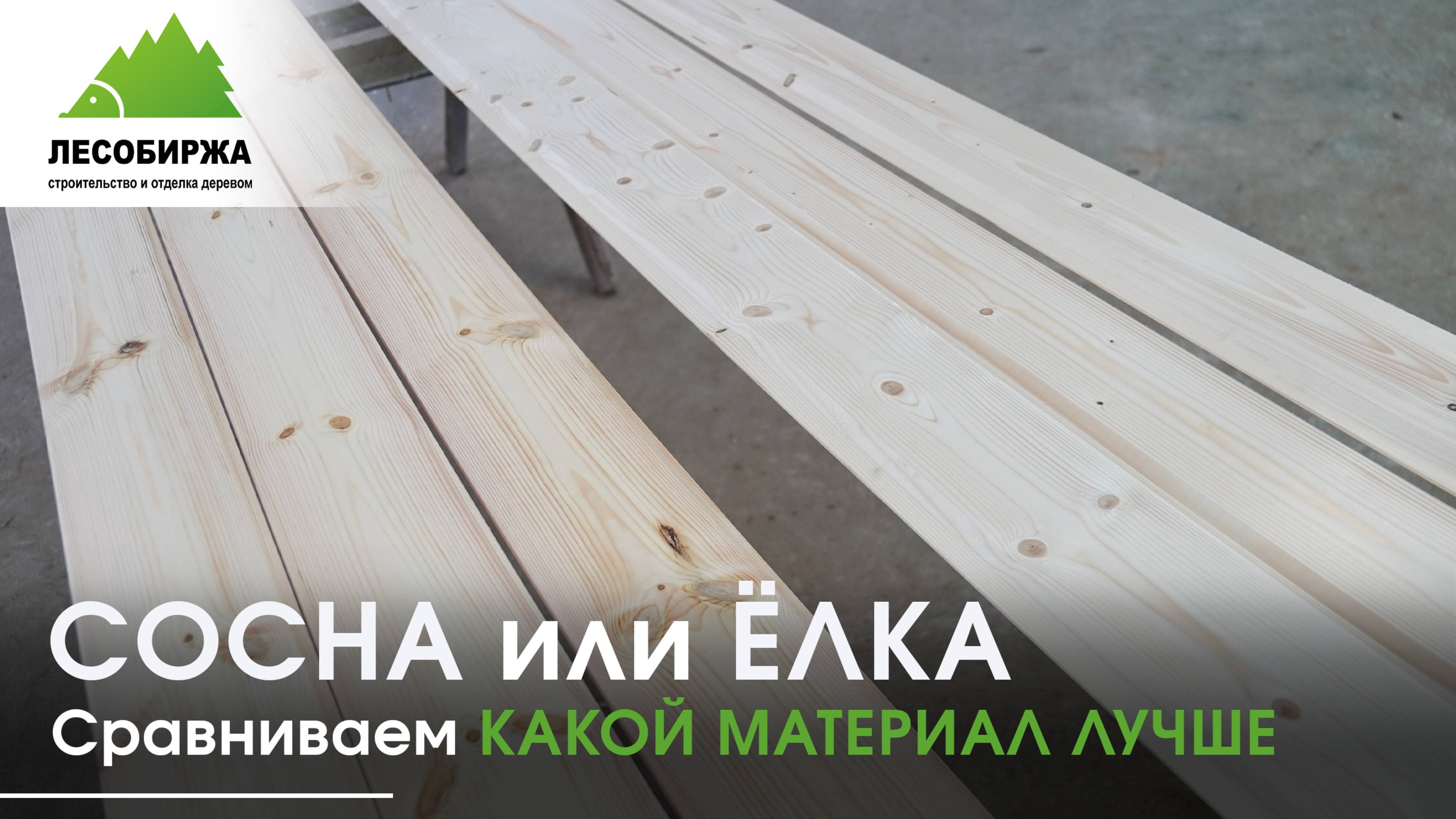 🌲 ЕЛЬ vs СОСНА 🌲 Что выбрать для дома? 🤔 Карельский лес против Архангельского!