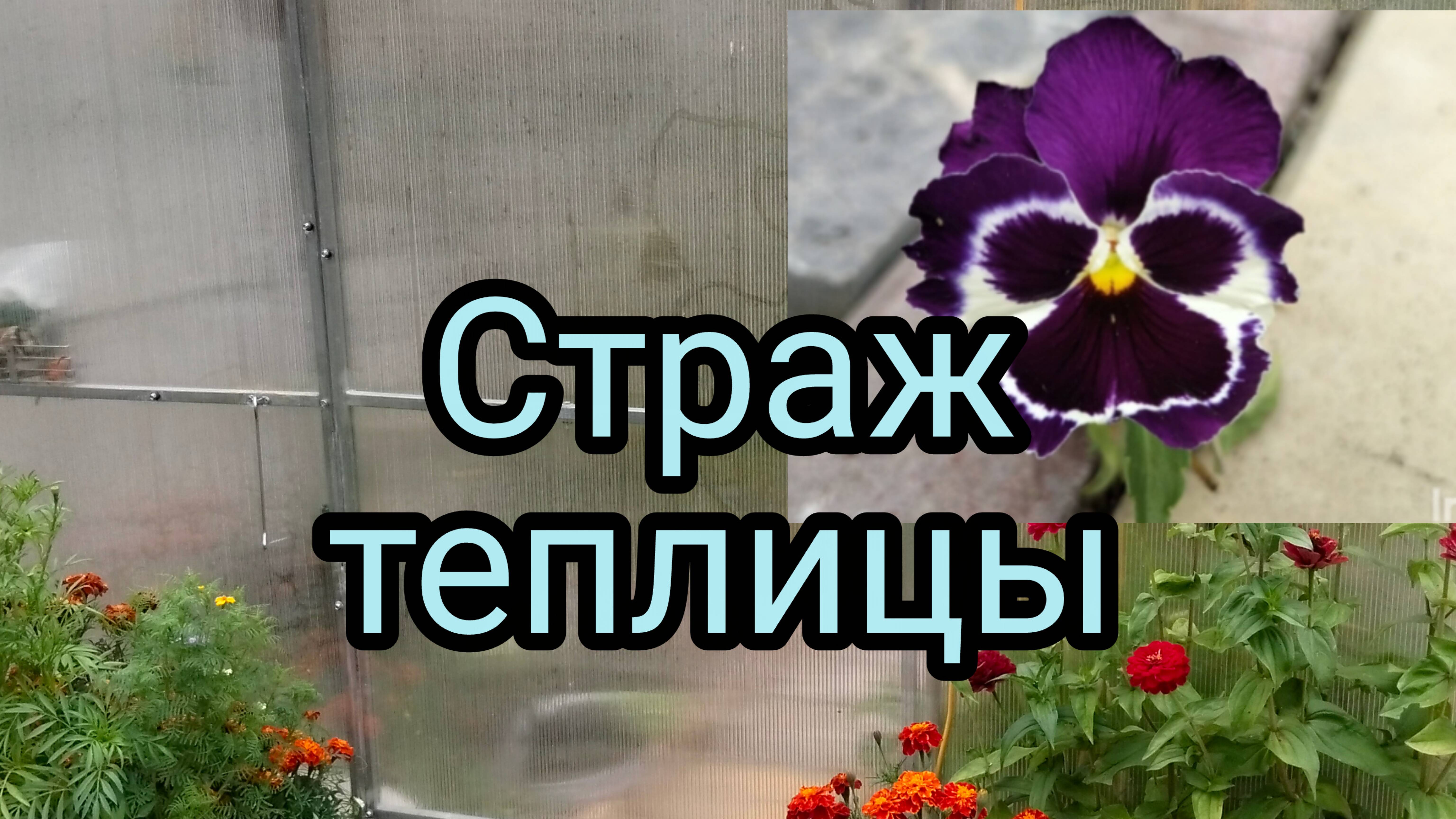 Поэзия цветов.