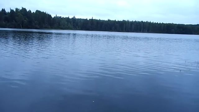 Озеро Быковское, дер. Исаиха
