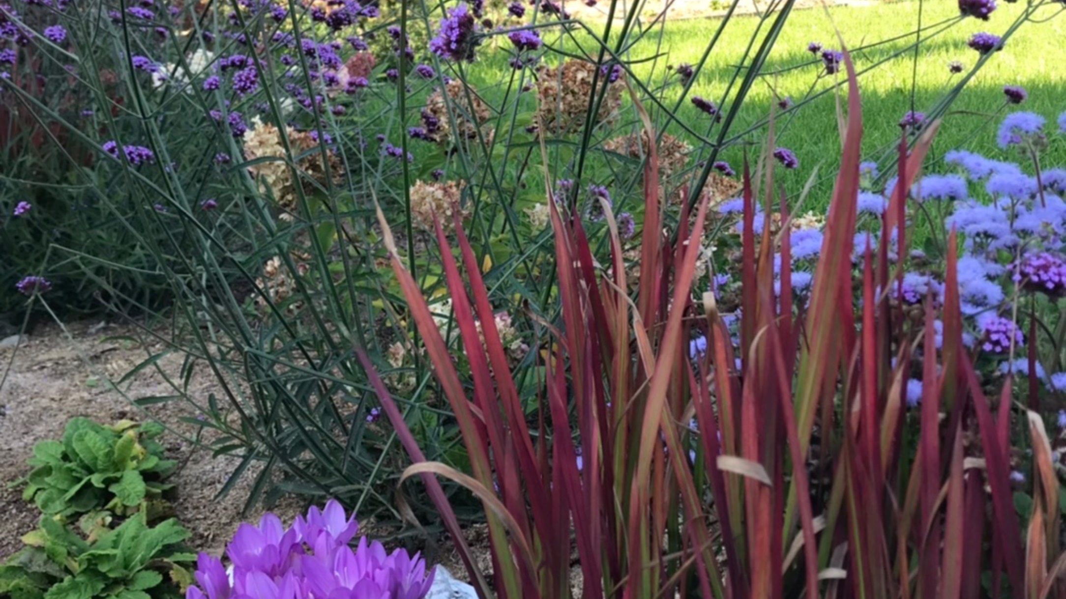 Как выглядит дача 22 сентября 25г