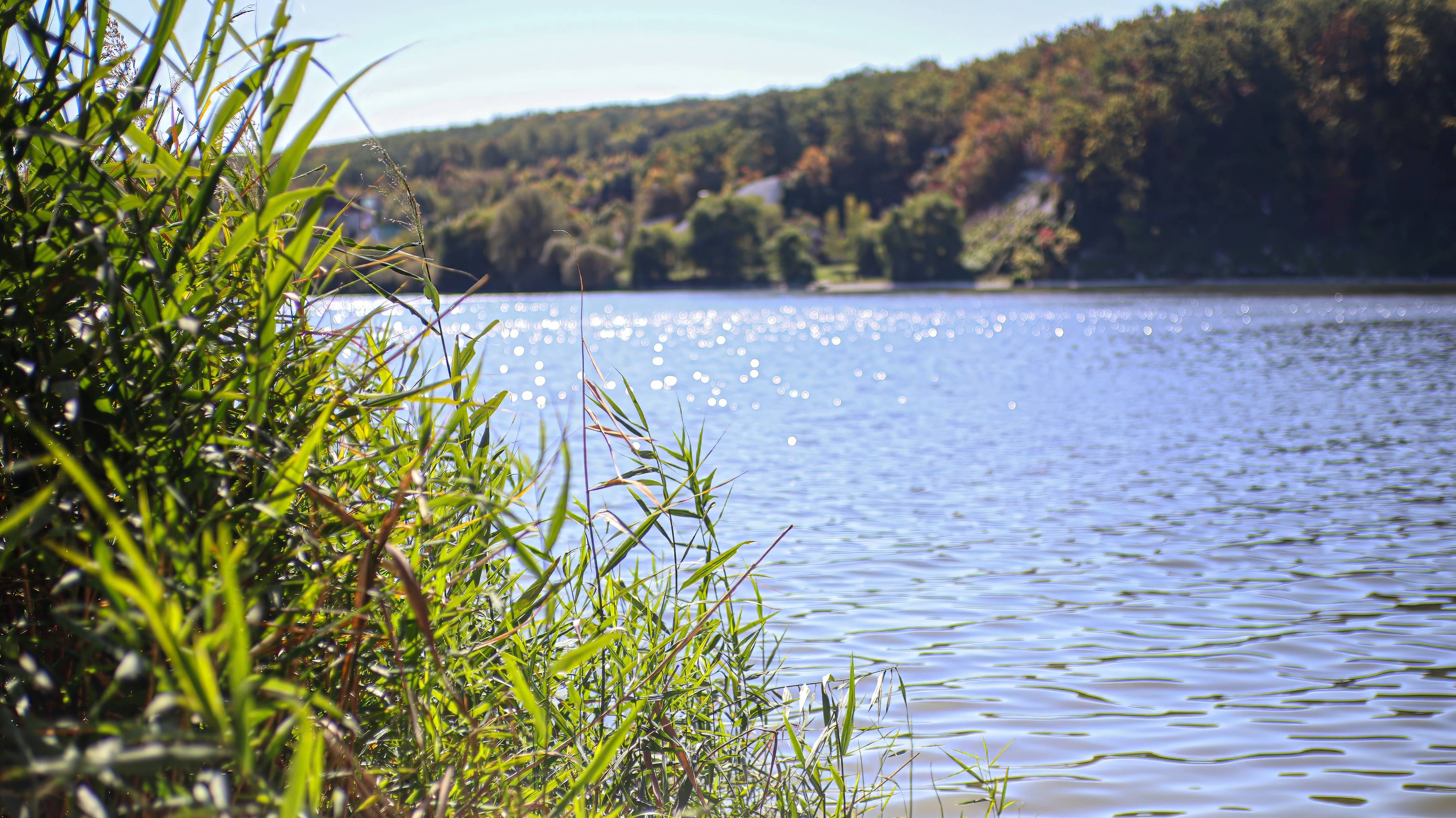 🌊 Где волны разбиваются о холмы меловые