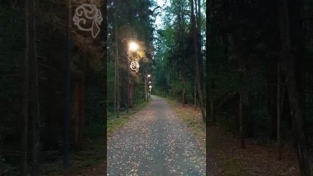 Подушкинский лес