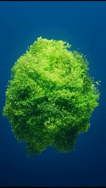 Зелёный шум. Медитация за 10 сек.

#медитация