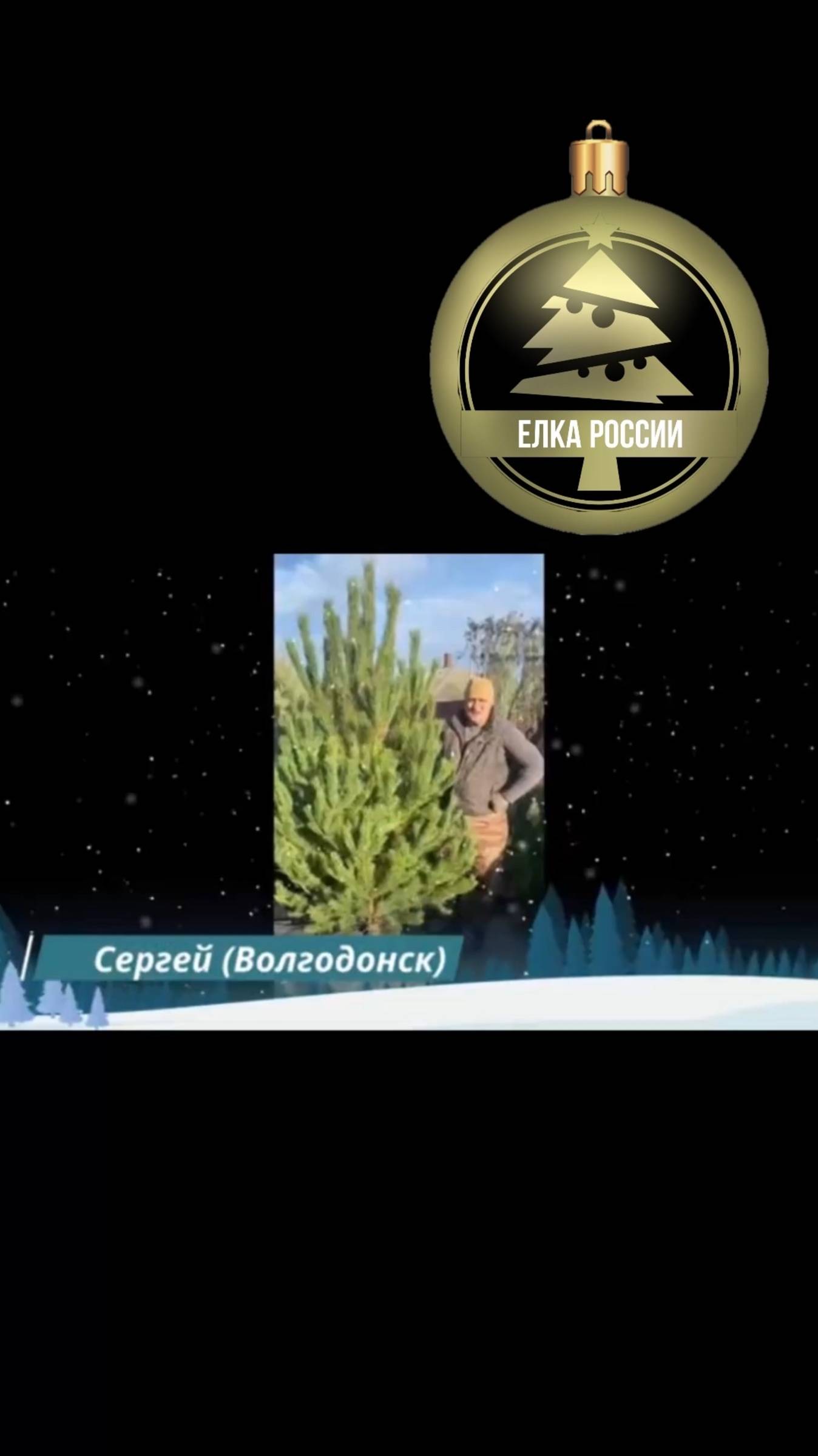 🎄НОВОГОДНИЕ ДЕРЕВЬЯ оптом | видеоотзыв ВОЛГОДОНСК
