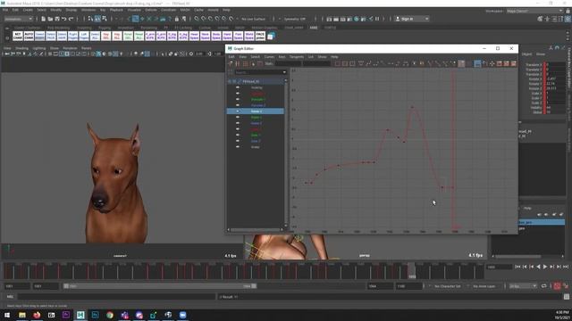 4. Canine - Dogs Closeup and Facial Blocking