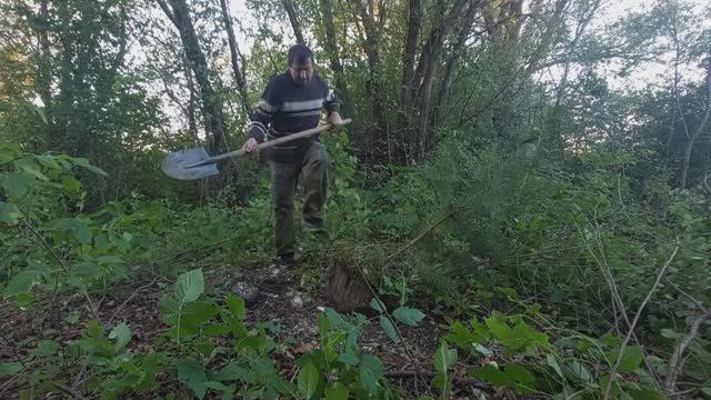 Сажаю лес в доме в деревне, продолжение!